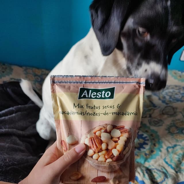 Mix frutos secos & macadamias tostados y salados from Alesto - Vegan Product Reviews & Ratings ...