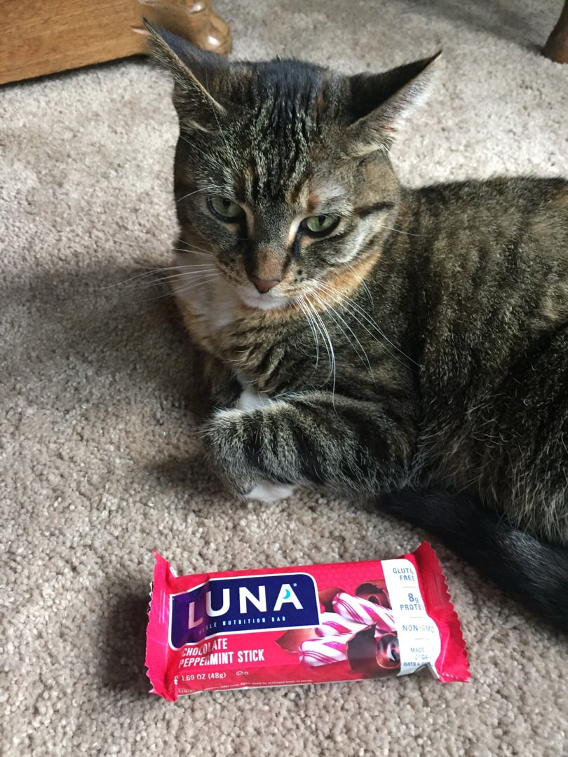 Chocolate Peppermint Stick Luna Bar from Clif Bar - Vegan Product ...
