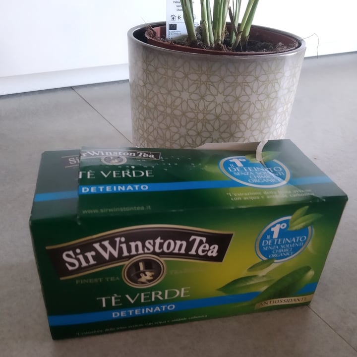 Sir Winston Tea The verde medio Review | abillion