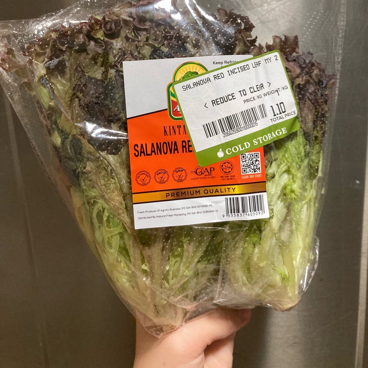 Salanova Red Incised Leaf from Cold Storage - Vegan Product Reviews ...