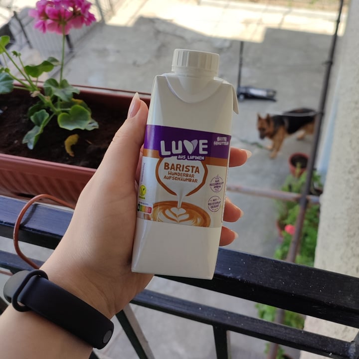 Made With Luve Barista lupine drink Review | abillion