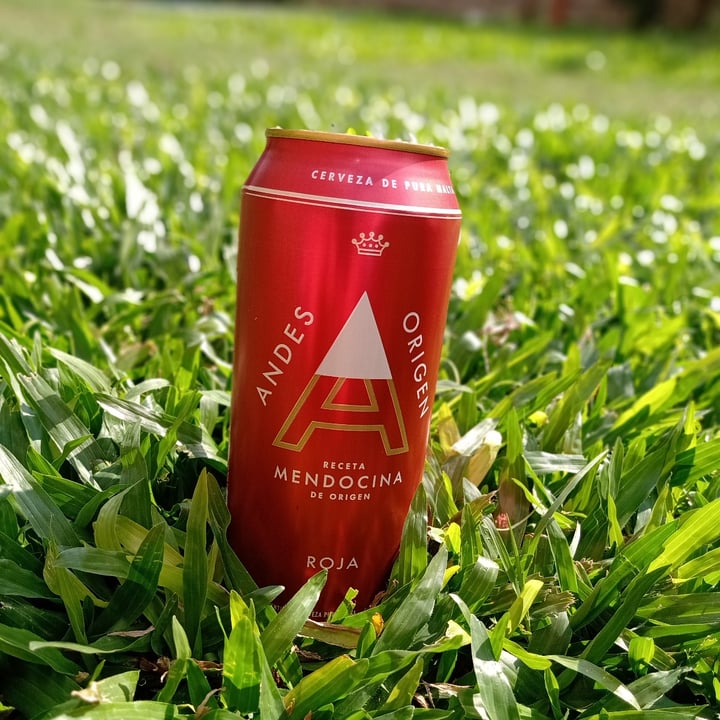 Andes Cerveza Roja Review | abillion