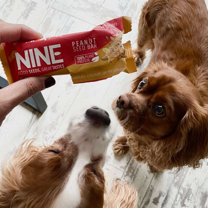 Nine Peanut seed bar Review | abillion