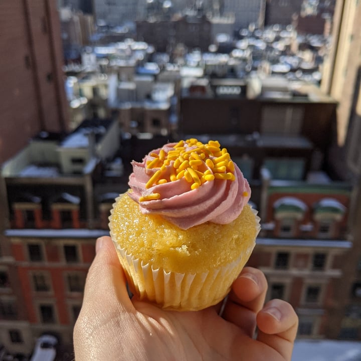 Rubicon Bakers Vegan Lemon Raspberry Cupcakes Review | abillion