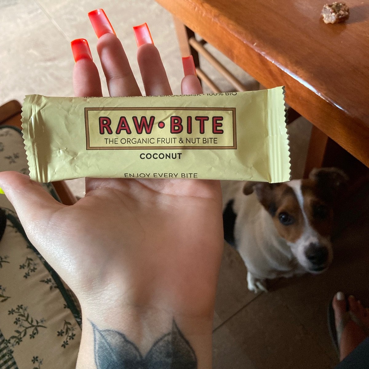 Raw Bite Coconut from Raw Bite - Vegan Product Reviews & Ratings | abillion