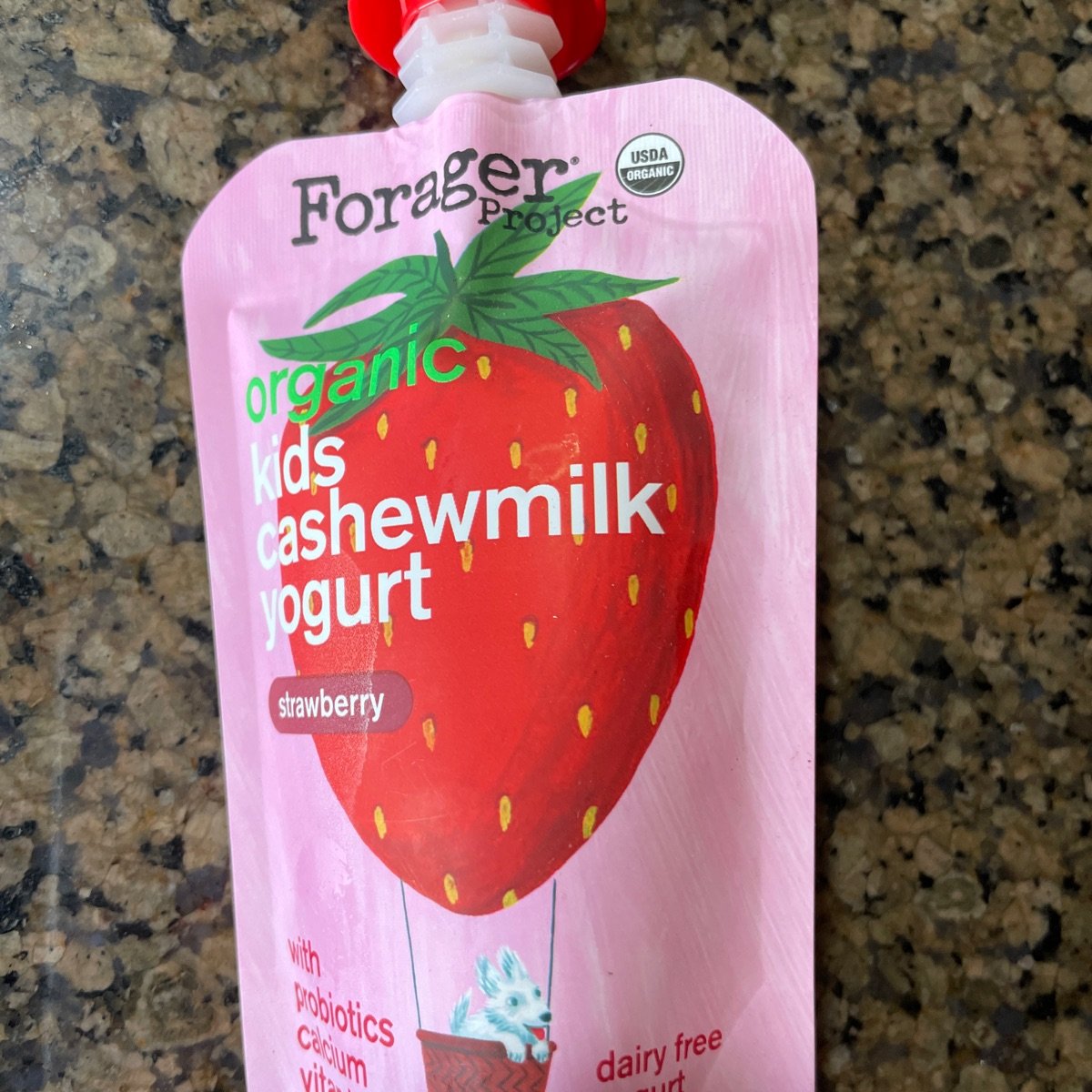 Forager Project - organic kids’ cashewmilk yogurt strawberry Review ...
