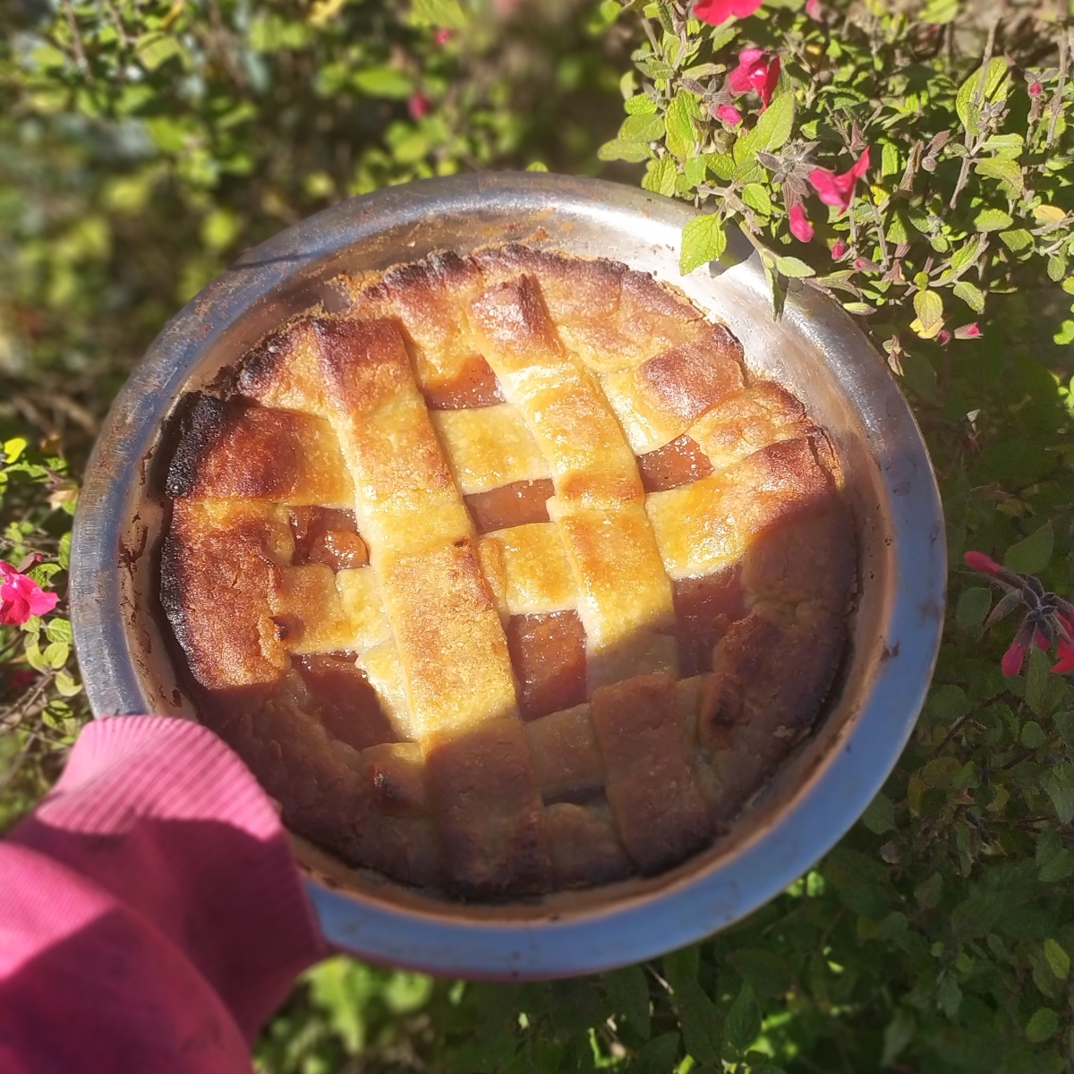 Pastafrola from Morellan.vegan - Vegan Product Reviews & Ratings | abillion