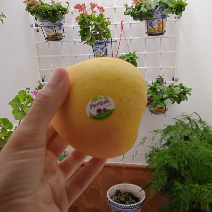 Perlim Manzana Review | abillion