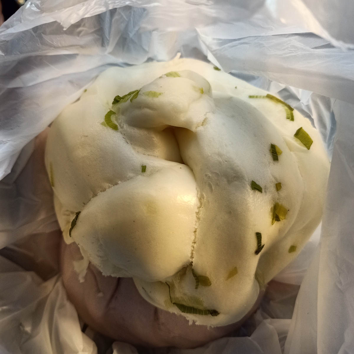 Spring Onion Bun from Xin Fu Yuan - Vegan Product Reviews & Ratings ...