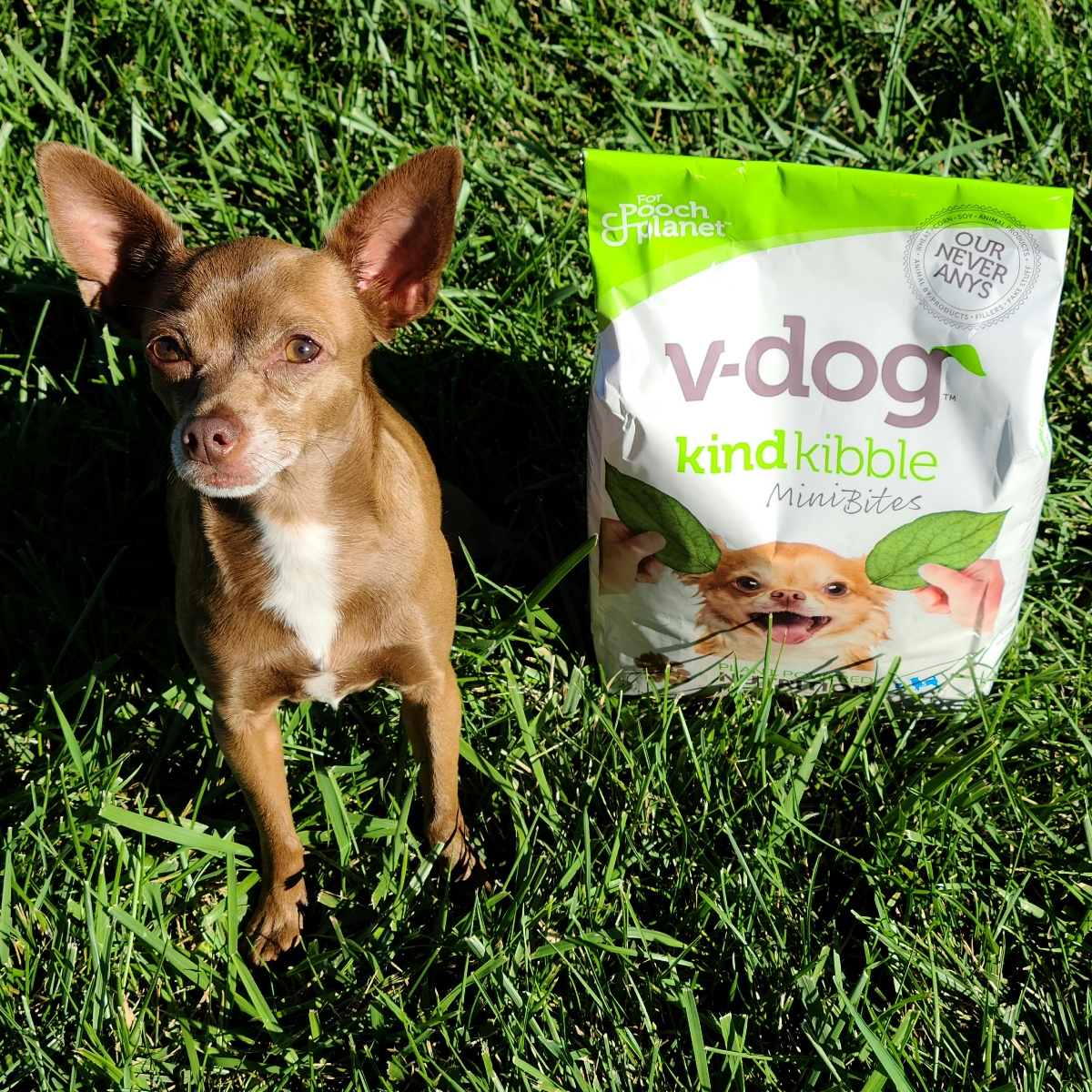 v-dog kind kibble mini bites 4.5 LB bag from v-dog - Vegan Product ...