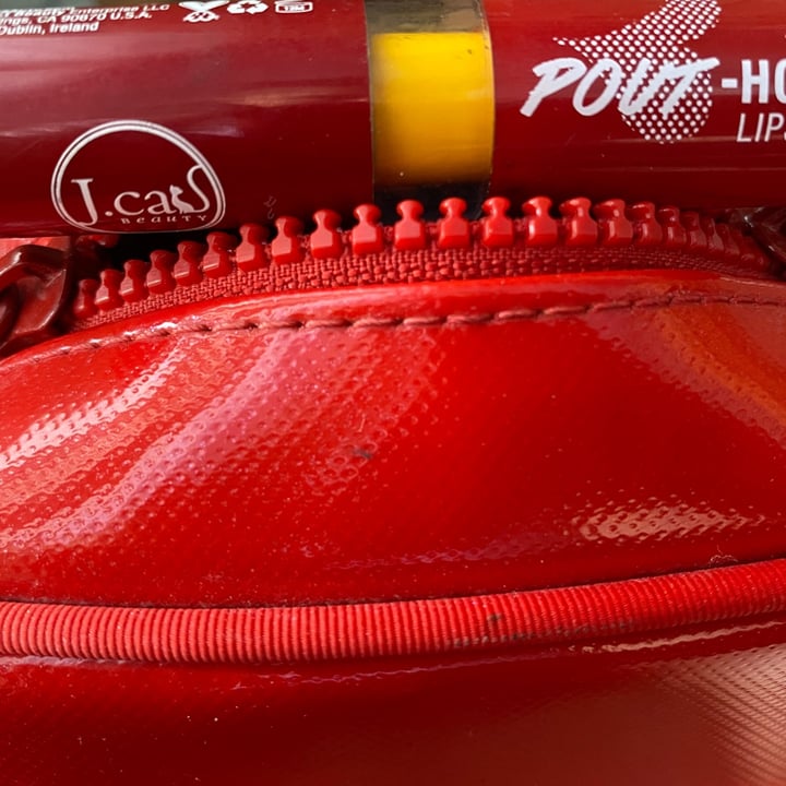 J.Cat beauty Pout Holic Lipstick Review | abillion