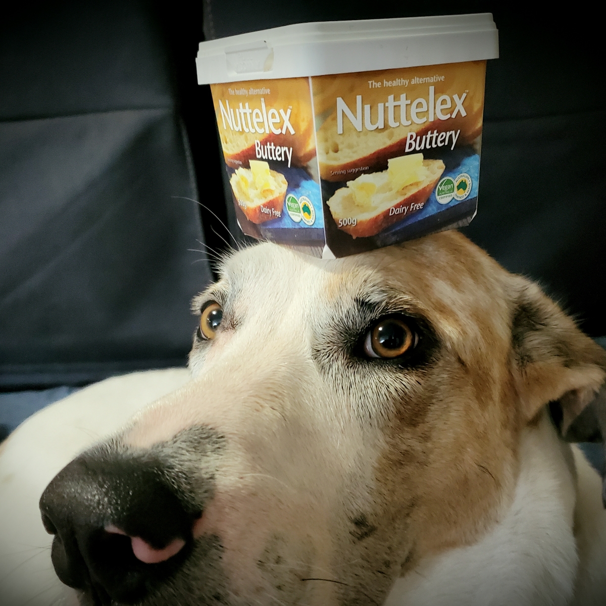 Nuttelex Buttery from Nuttelex - Vegan Product Reviews & Ratings | abillion