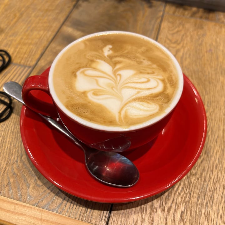 Myga United Kingdom Hazelnut Soy Latte Review | abillion