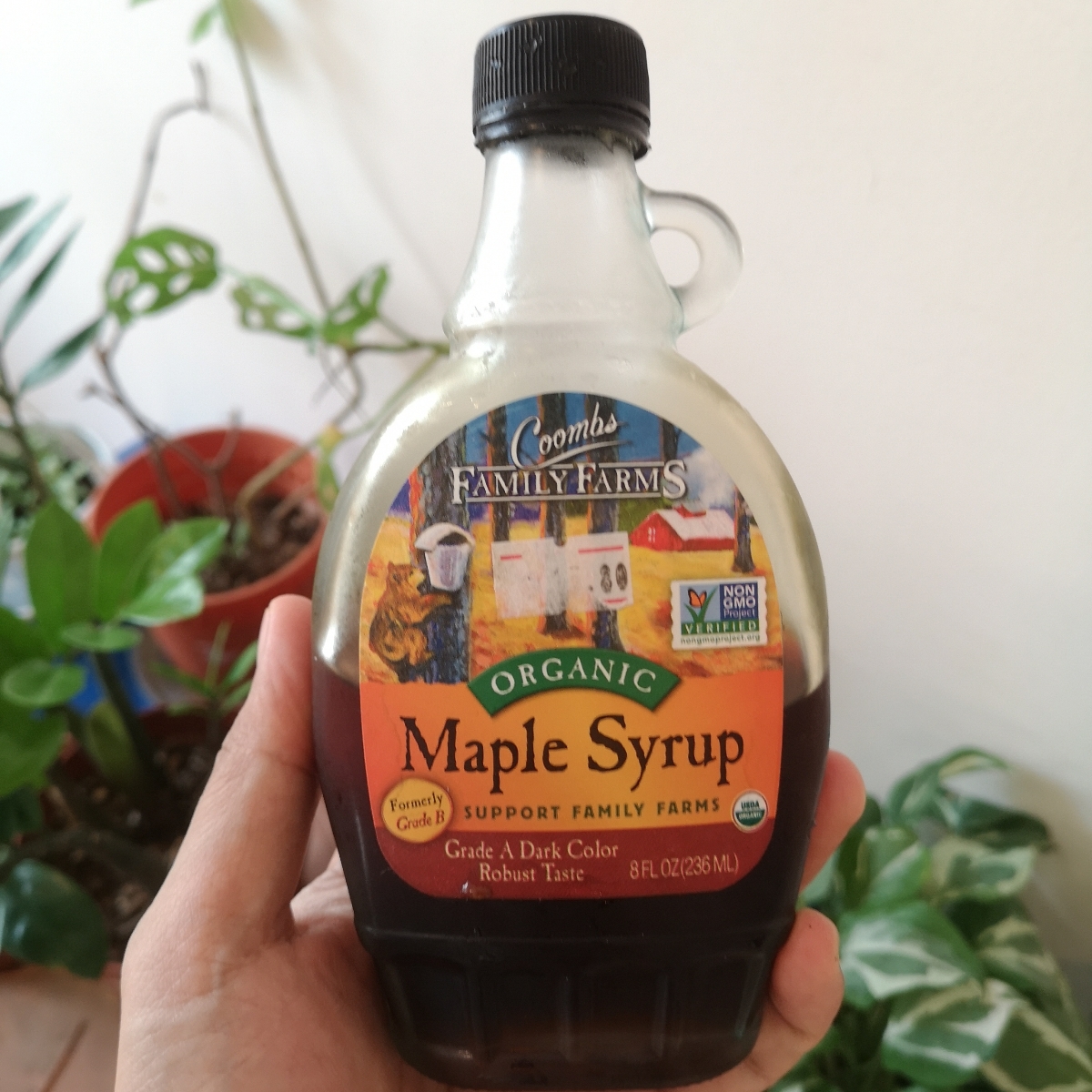 Pure Maple Syrup (Grade A Dark) from Coombs Family Farms - Vegan ...