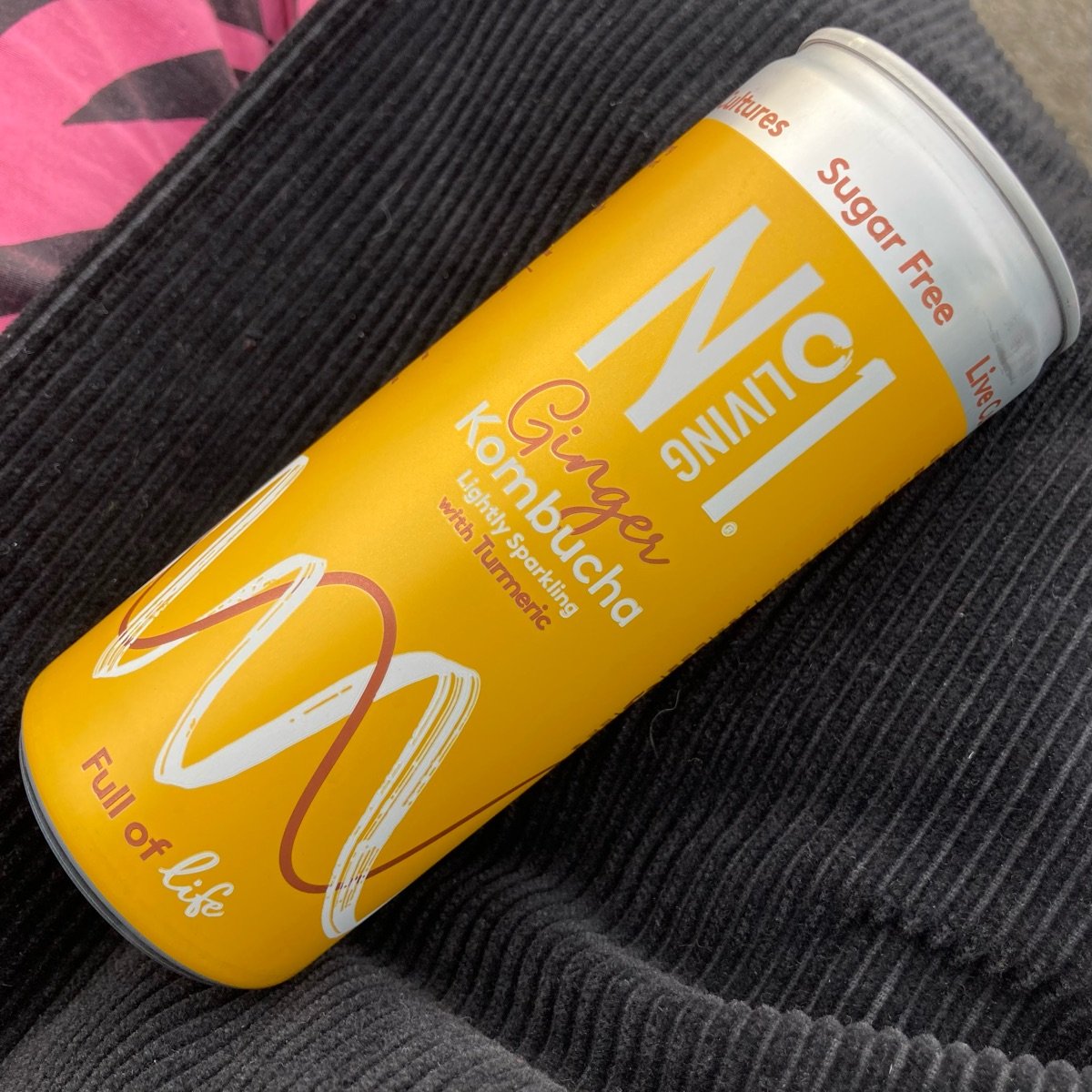Ginger Kombucha from No. 1 Living - Vegan Product Reviews & Ratings ...