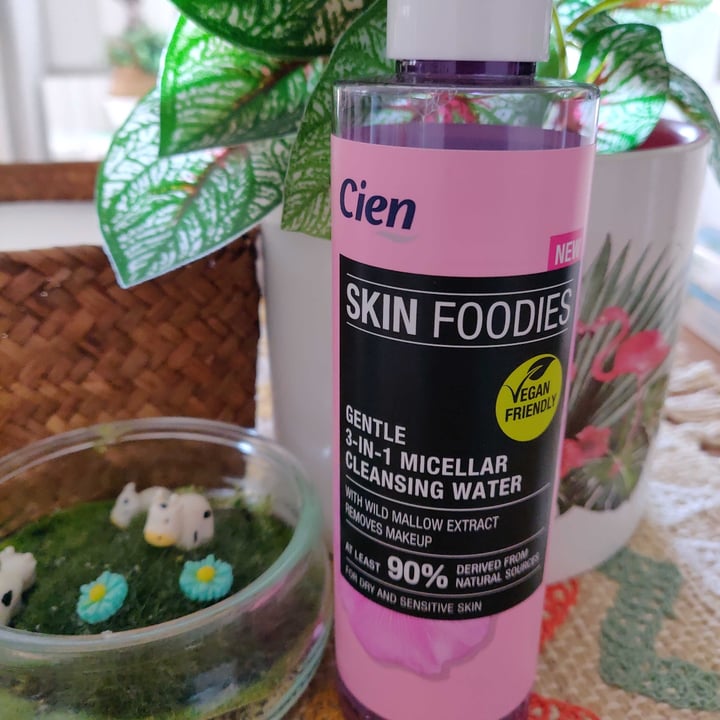 Cien Gentle 3 in 1 micellar cleansing water Review | abillion