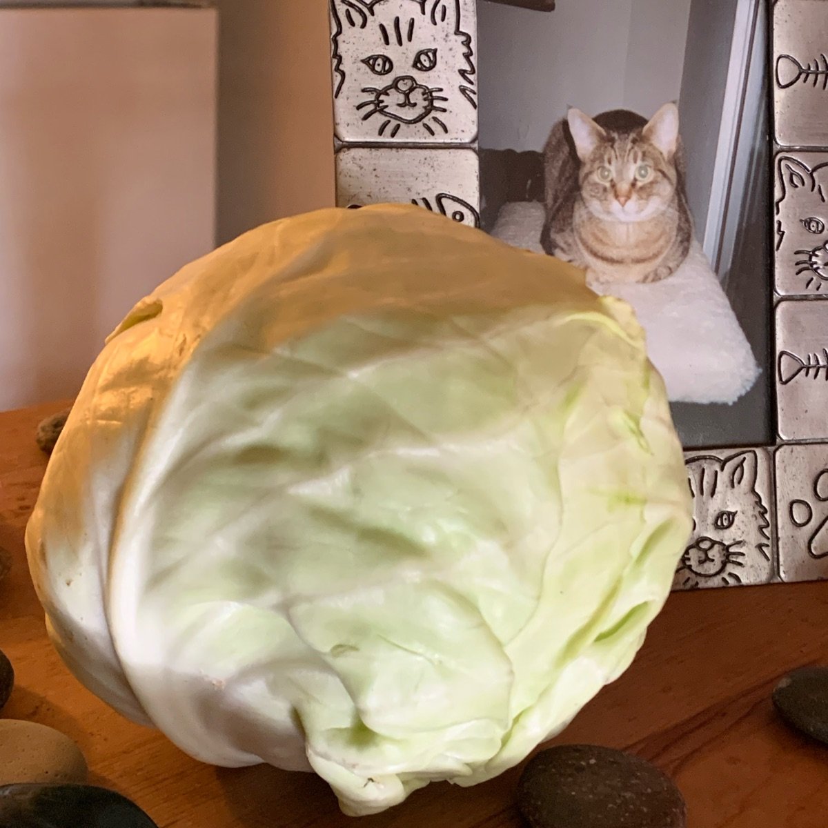 organic cabbage from be wise - Vegan Product Reviews & Ratings | abillion