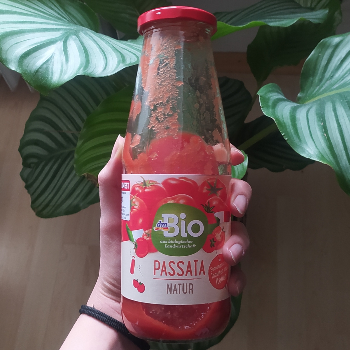 dmBio Passata Reviews | abillion