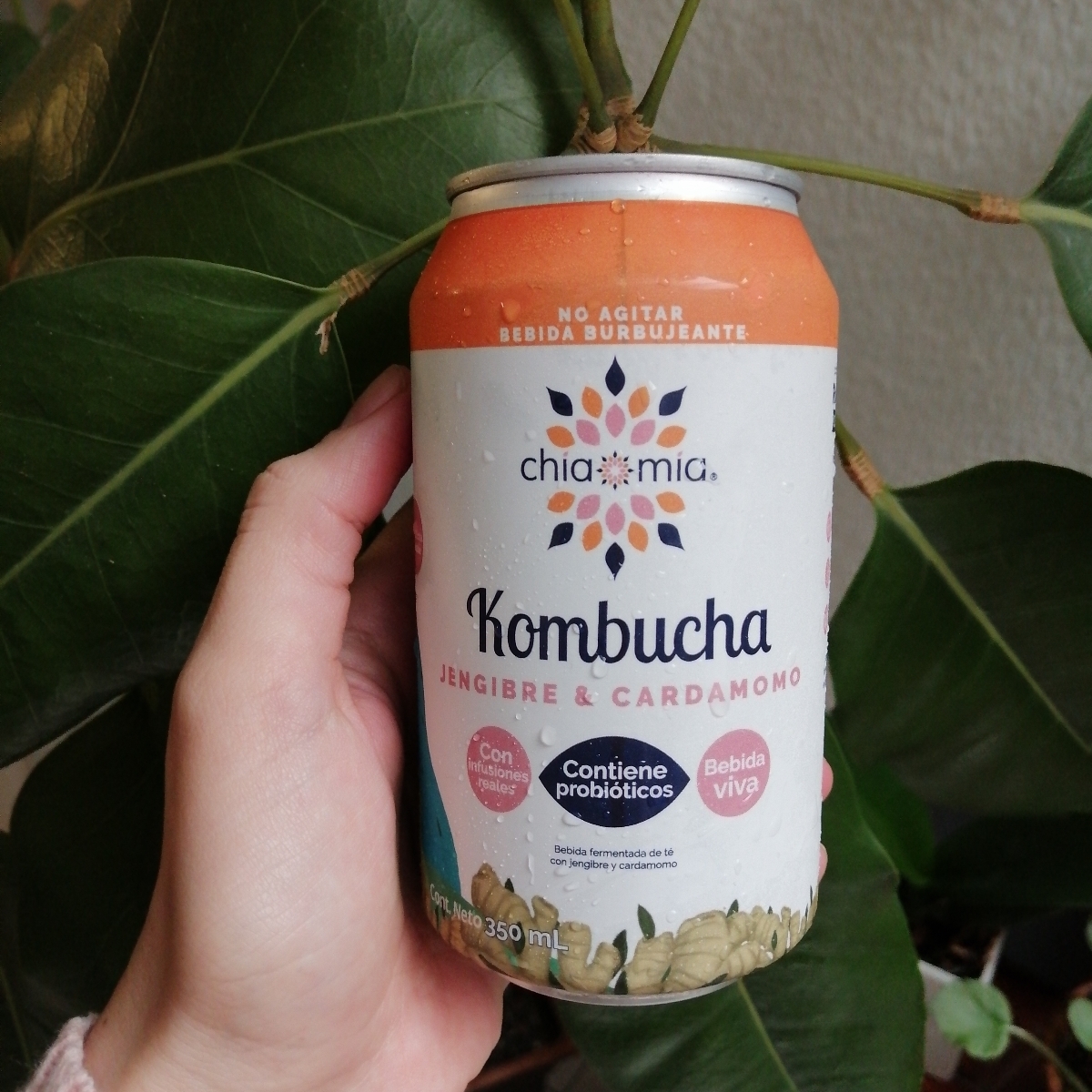 Kombucha de Jengibre y Cardamomo from Chia mia - Vegan Product Reviews ...