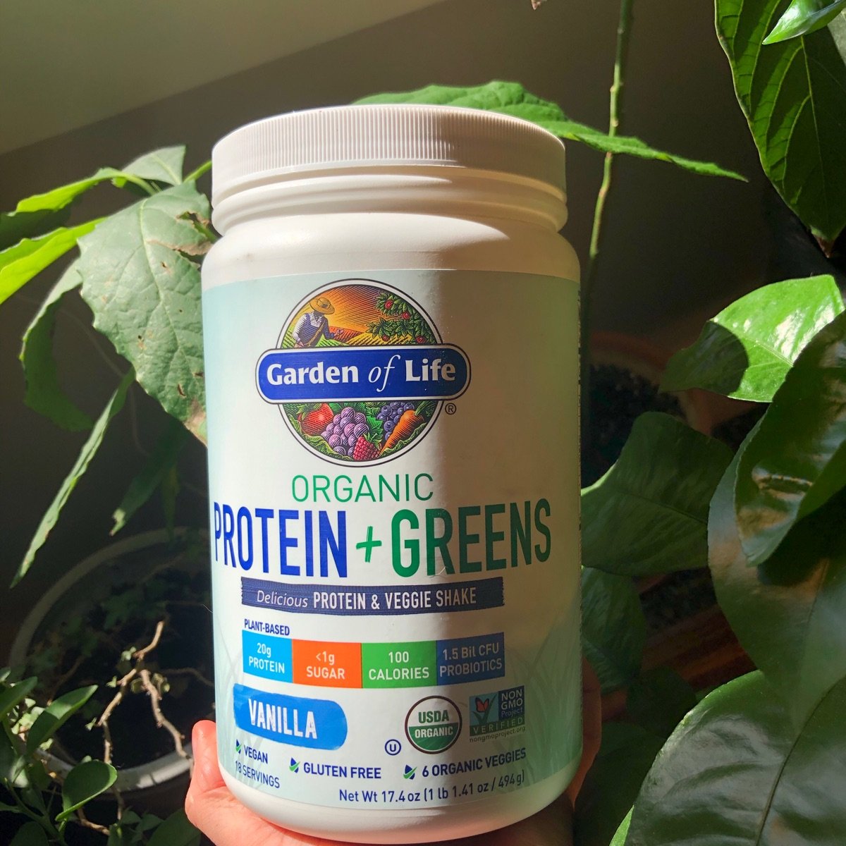 Organic Protein + Greens Vanilla Protein Powder from Garden of Life ...