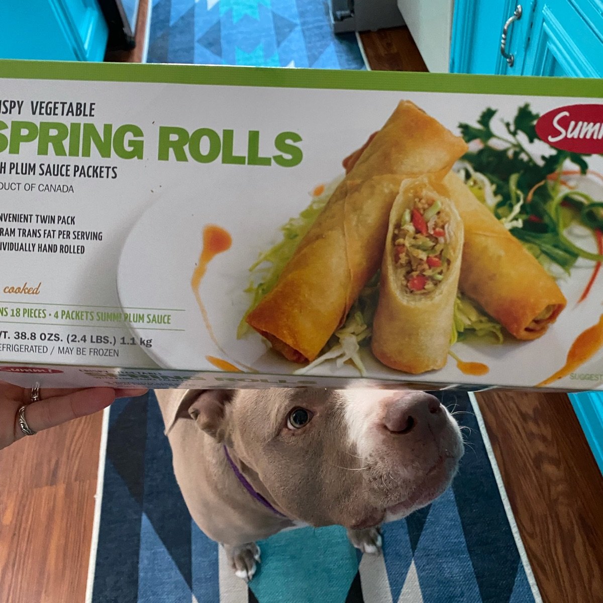 Crispy Vegetable Spring Rolls from Summ! - Vegan Product Reviews ...