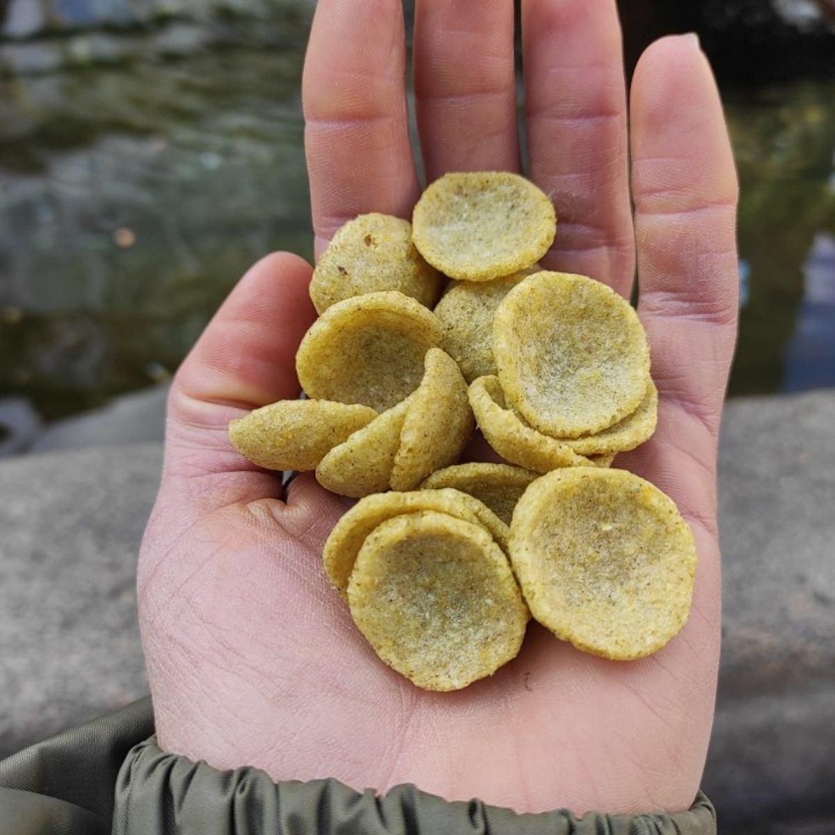 Mios! Horneados con un Toque de Tomillo y Limón from Risi - Vegan ...
