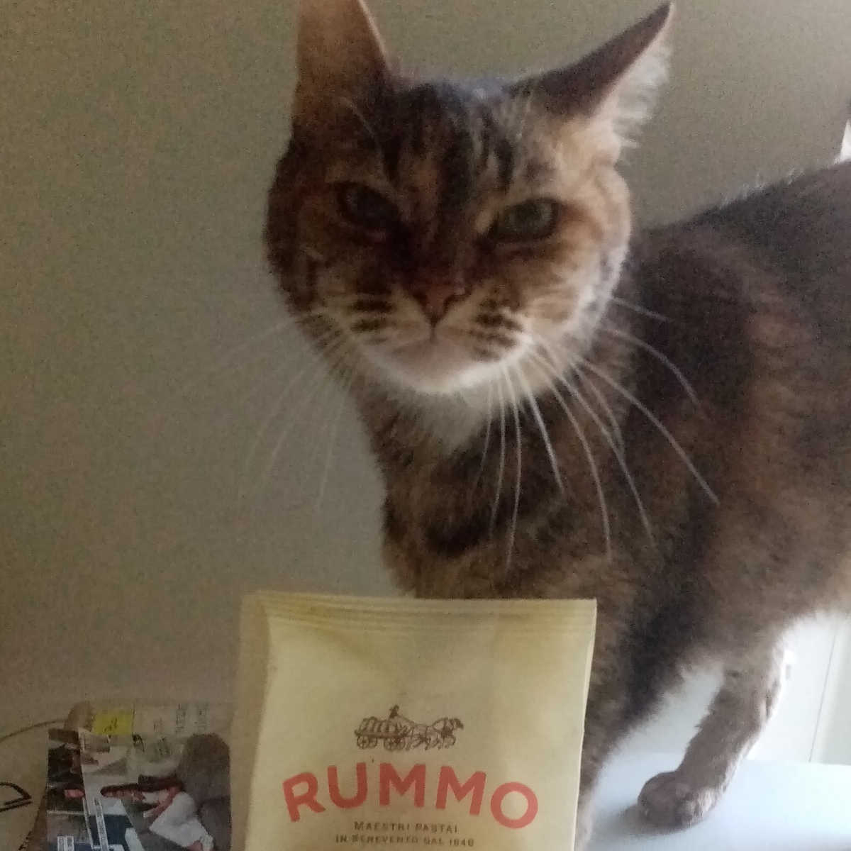Gnocchi Di Patate from Rummo - Vegan Product Reviews & Ratings | abillion