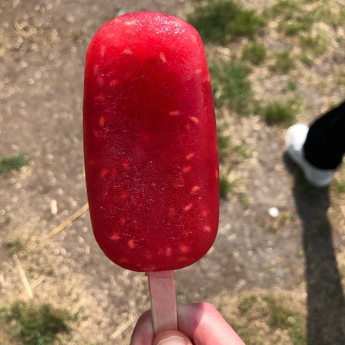 Red Grapefruit And Raspberry Paleta from Ohana Pops - Vegan Product ...