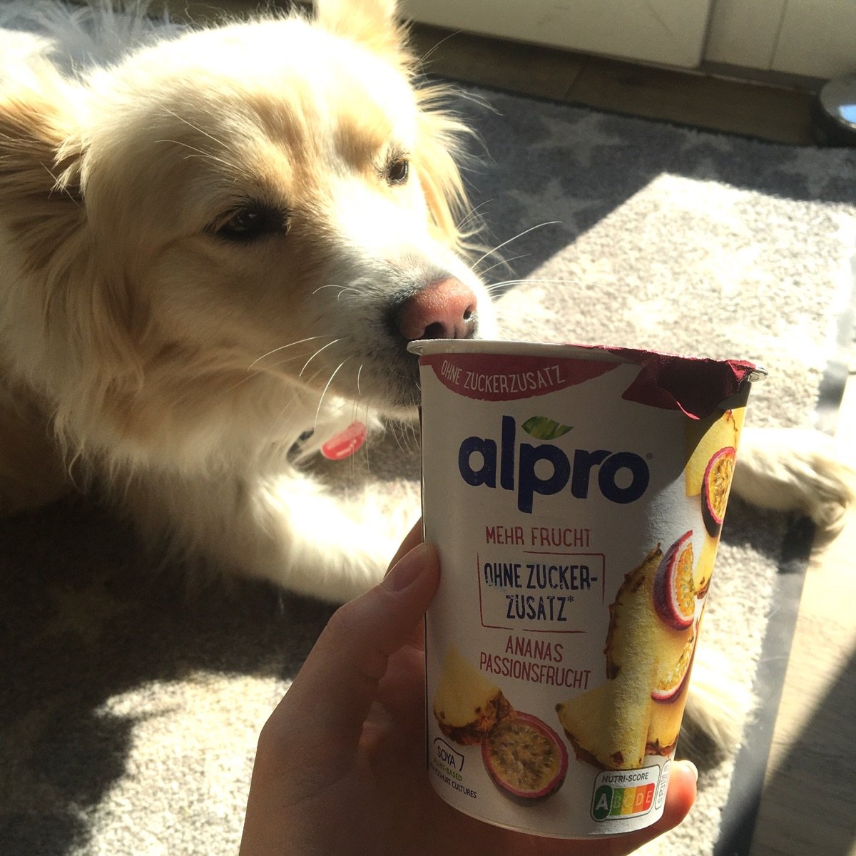 Pineapple Passion Fruit Yogurt from Alpro - Vegan Product Reviews ...