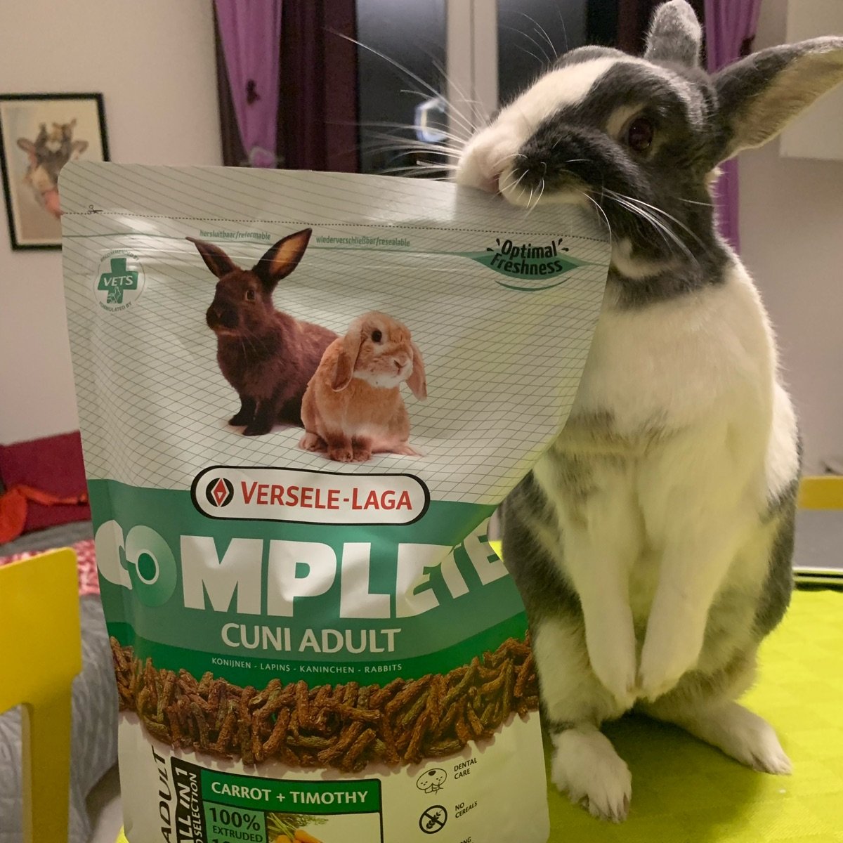 Complete cuni adult from Versele laga - Vegan Product Reviews & Ratings ...