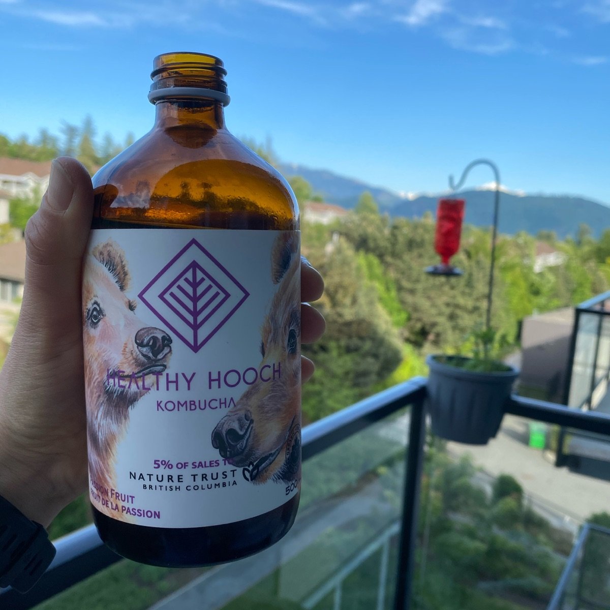 kombucha from healthy hooch - Vegan Product Reviews & Ratings | abillion