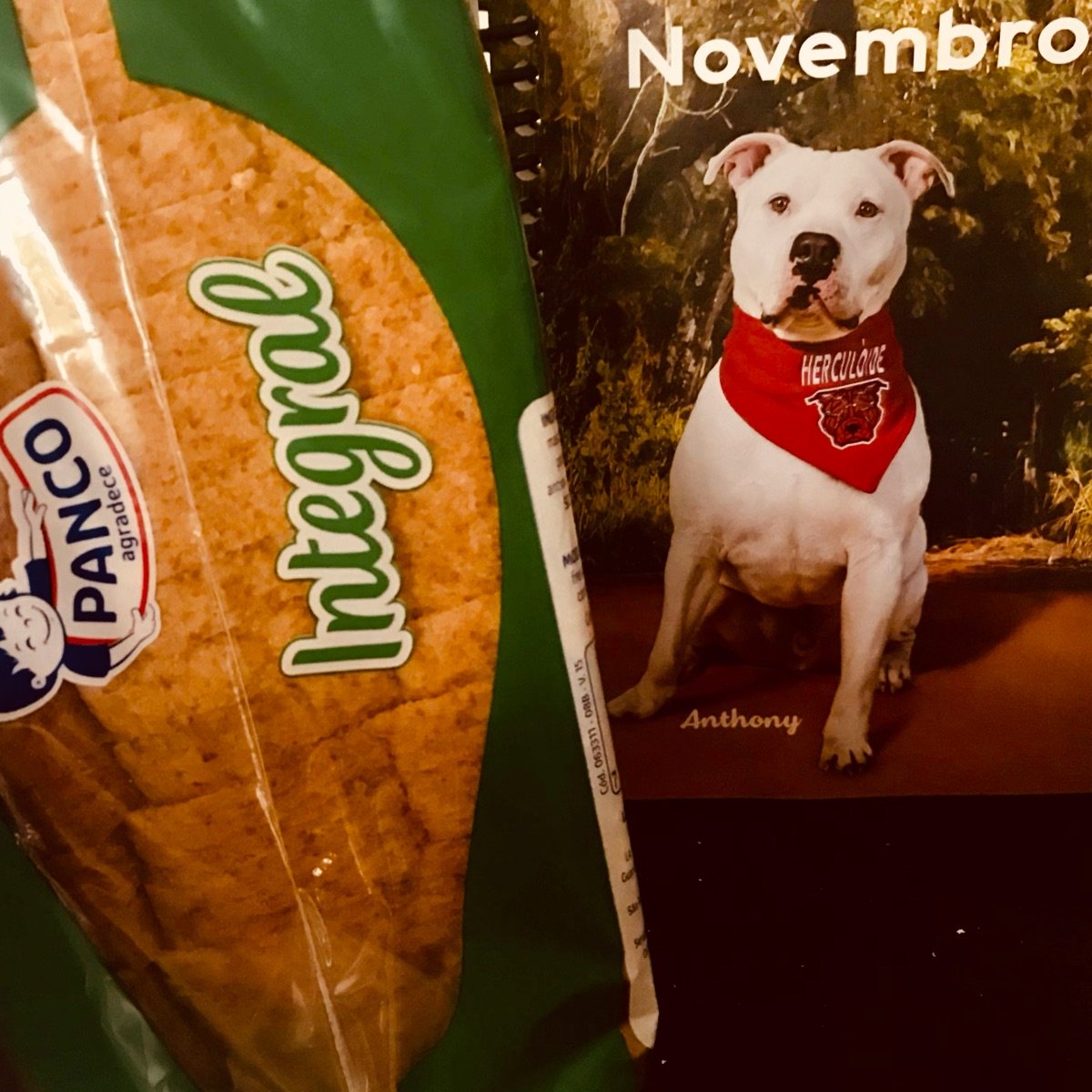 Pão de forma integral from Panco - Vegan Product Reviews & Ratings ...