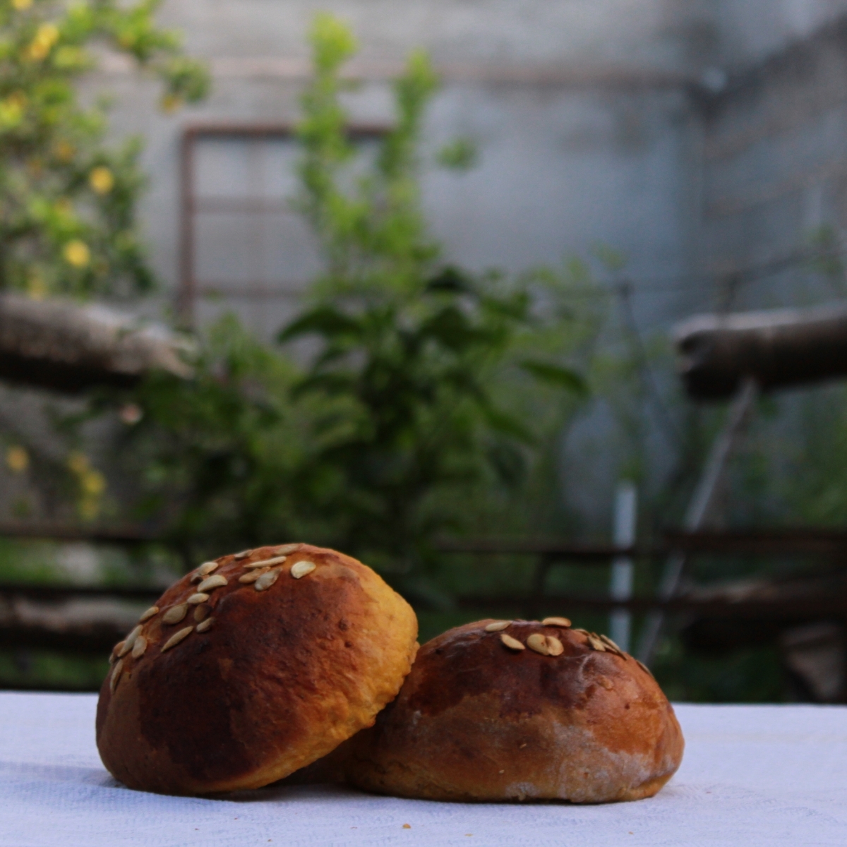 Pan de zapallo from Come Sano - Vegan Product Reviews & Ratings | abillion