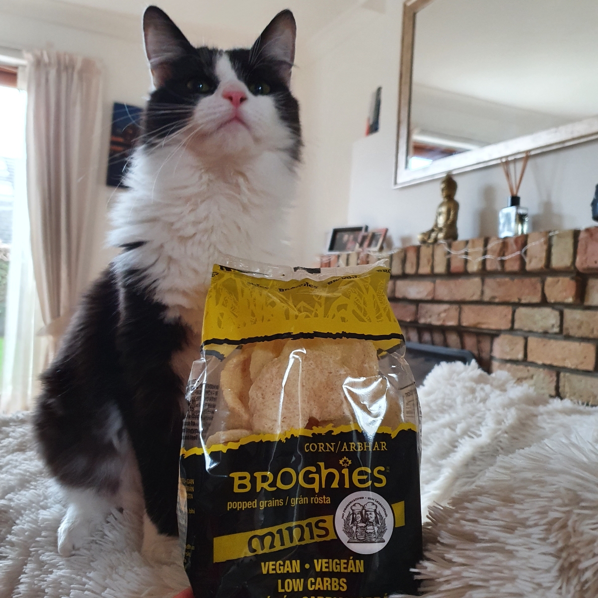Corn Popped Grains from Broghies - Vegan Product Reviews & Ratings ...