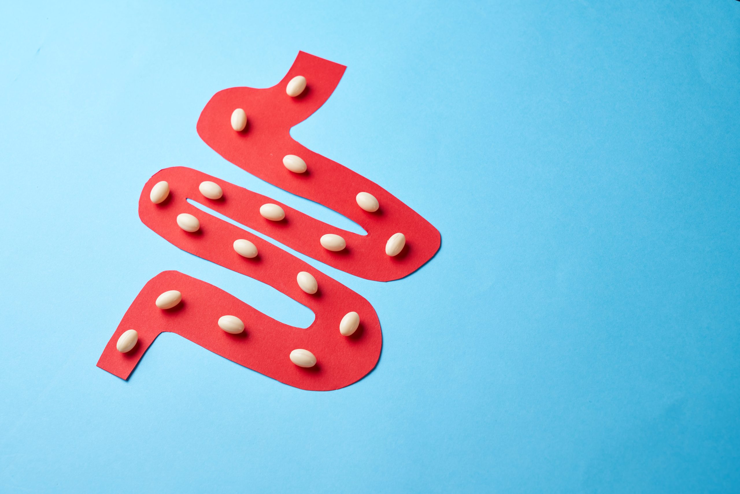 Lactobacillus rhamnosus GG – co to jest i na co pomaga?