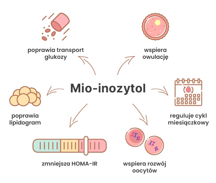 Mio inozytol – co to jest, na co pomaga, efekty, jaki wybrać?