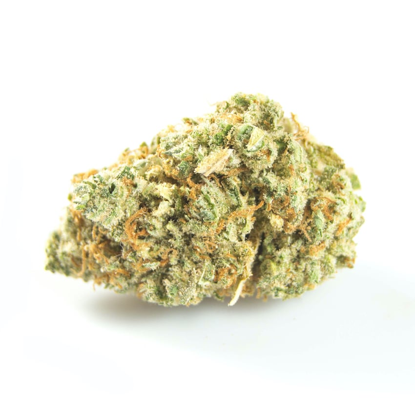 Freedom Fighter Flowers — A Review Of The Jack Herer Strain