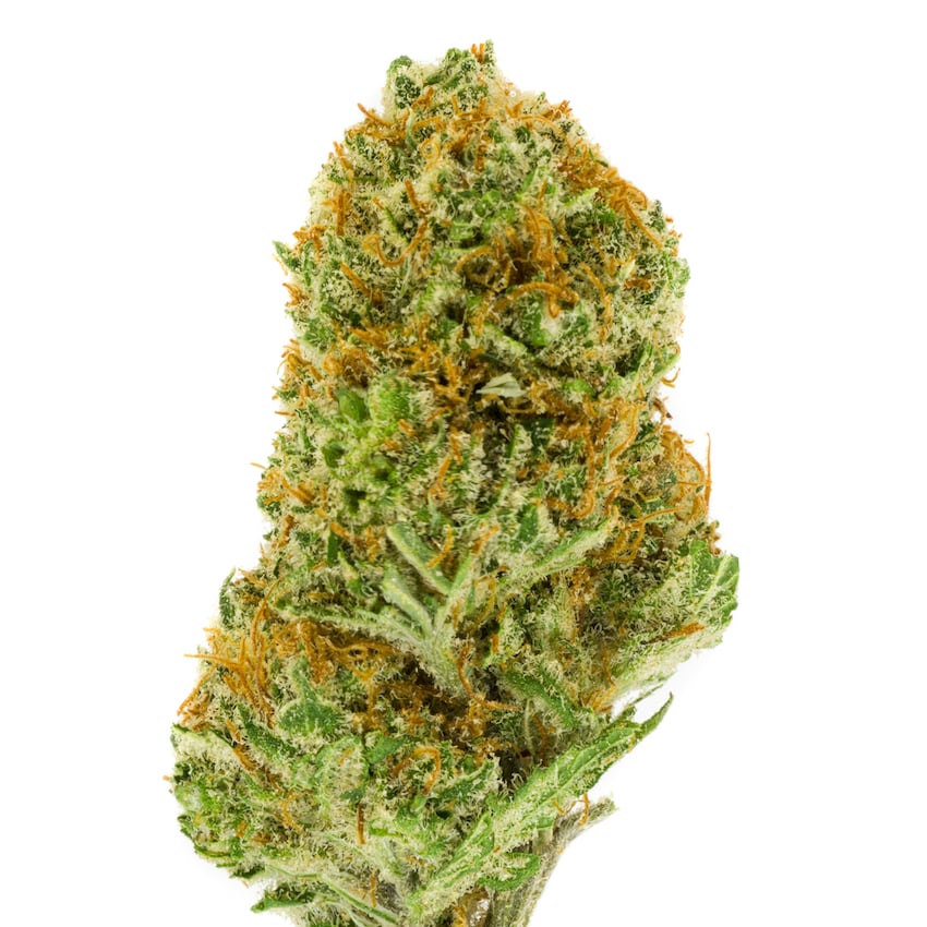 A “Super” Zesty & Peppy Hybrid — Super Lemon Haze Strain Review