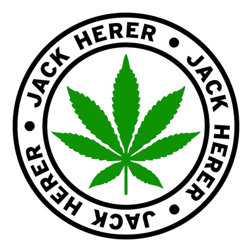 Freedom Fighter Flowers — A Review Of The Jack Herer Strain