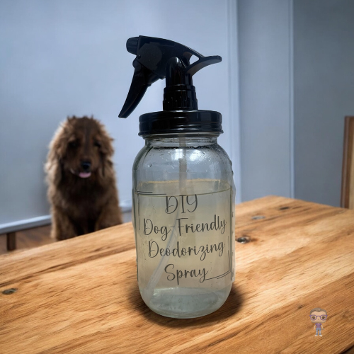 Create a Fresh Oasis with DIY Dog-Friendly Deodorizing Spray