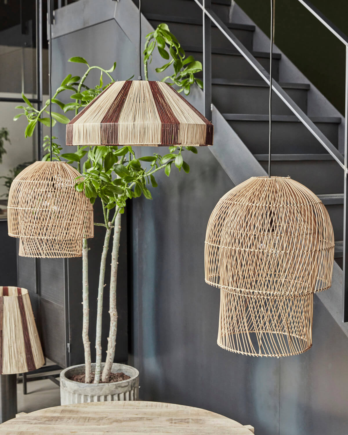 Stínidlo Duloc přírodní – muzza.cz