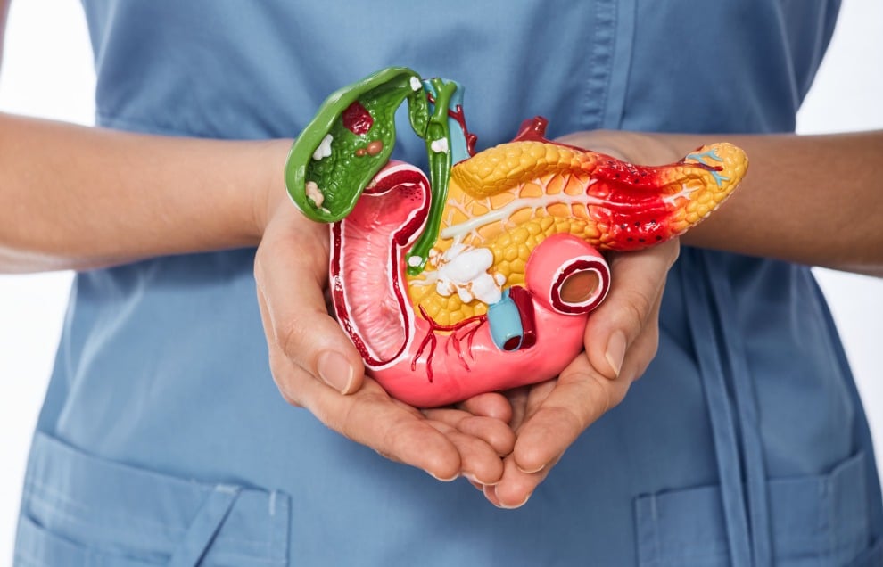 A Natural Solution for Pancreas Health and Pancreatitis Treatment ...