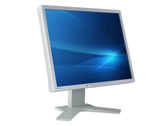EIZO FlexScan S1901 Monitor - 1440393 | furbify