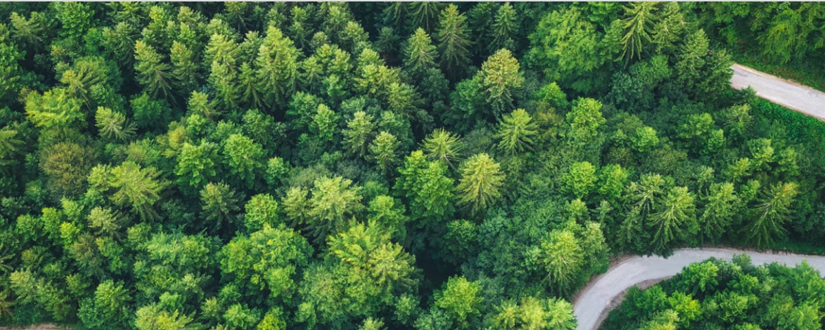 Environmental Practices Benchmarking Tool