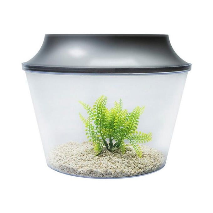 Goldfish Starter Kit UK