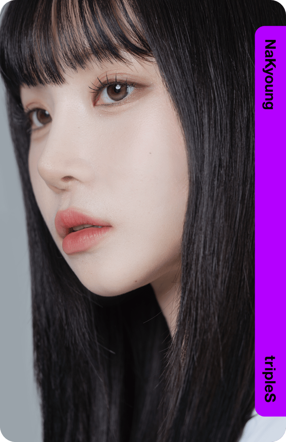 everything's Collection · Apollo