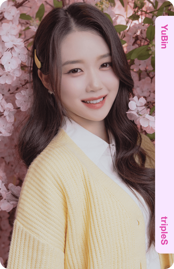 8230's Collection · Apollo