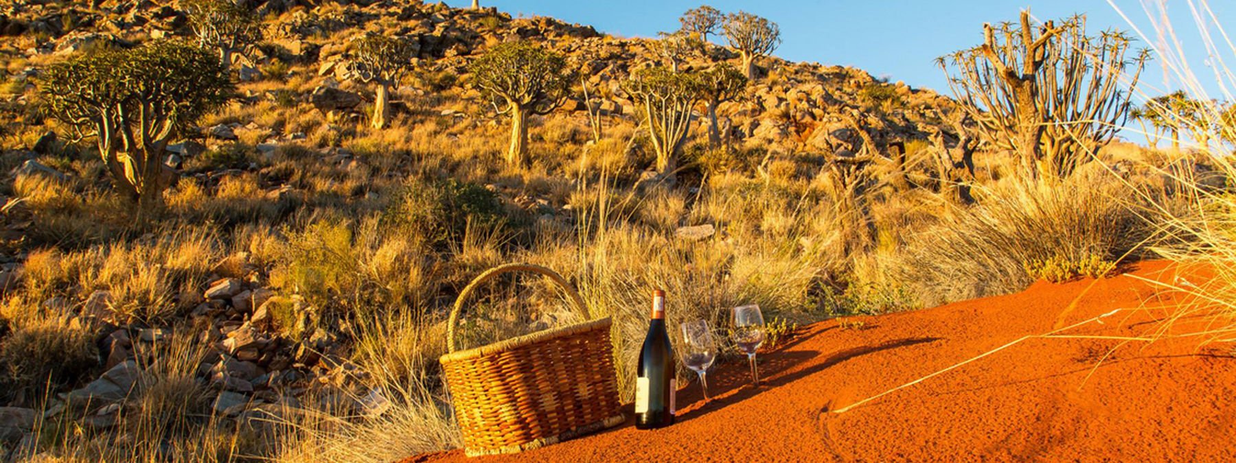 QUIVER TREE ROUTE | Northern Cape South Africa