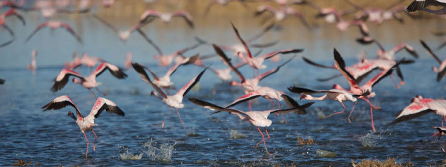 MODDER RIVER | Northern Cape South Africa