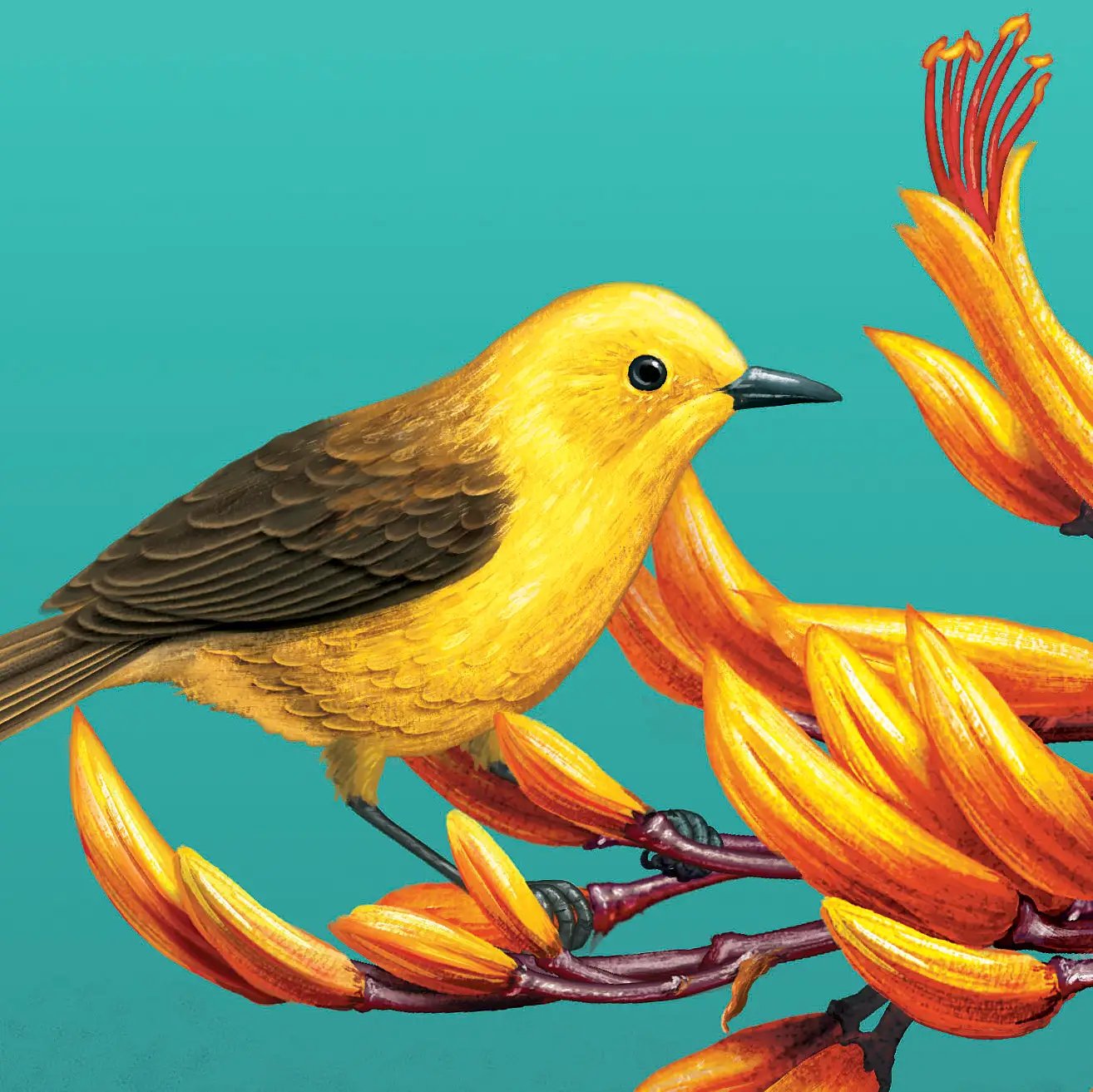 Home - Watermarkcreative